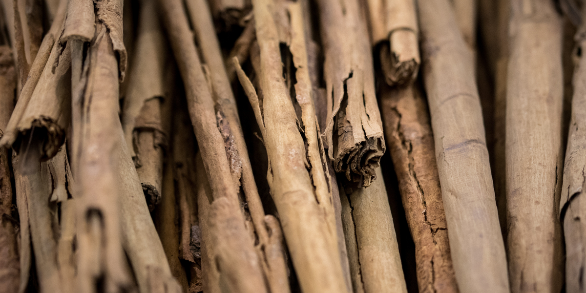 What is oolong? | The Tea Curator