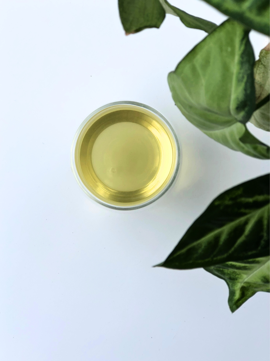 Cloud Mist loose leaf green tea from China | The Tea Curator